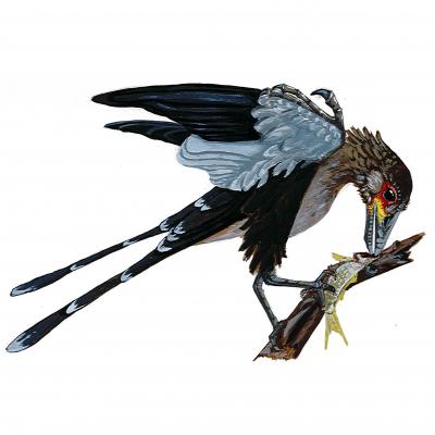 Confuciusornis , Prehist [IMAGE] | EurekAlert! Science News Releases