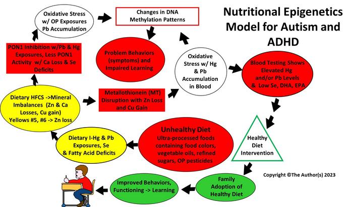 New study shows nutritional epigenetics educa | EurekAlert!