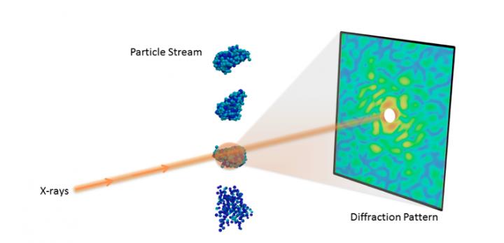 Figure 1 Experimental Setup fo [IMAGE] | EurekAlert! Science News Releases