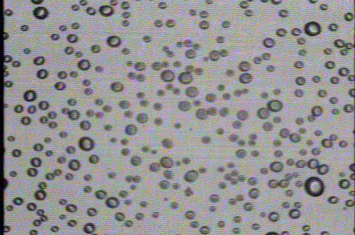 Supercooled liquid clouds [IMAGE] | EurekAlert! Science News Releases