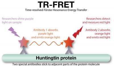 TR-FRET [IMAGE] | EurekAlert! Science News Releases