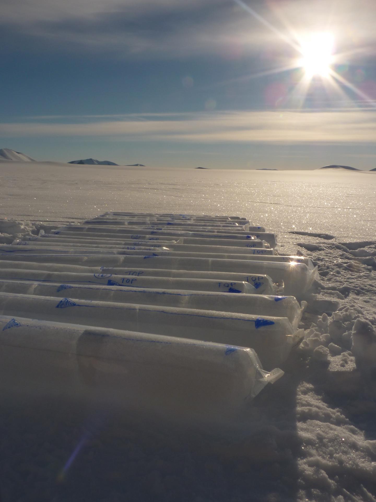 Arctic Ice Cores [IMAGE] | EurekAlert! Science News Releases