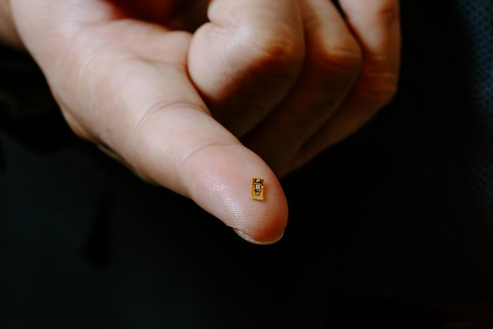 Brain implant concept [IMAGE] | EurekAlert! Science News Releases