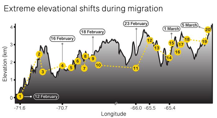 Migration graphic [IMAGE] | EurekAlert! Science News Releases