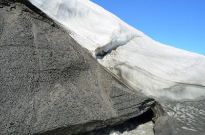 Glaciers Might be Gentle Giants (15 of 26) | EurekAlert!