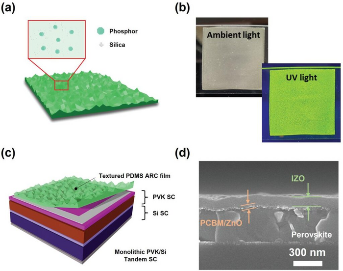 Schematic of PDMS layer contai [IMAGE] | EurekAlert! Science News Releases