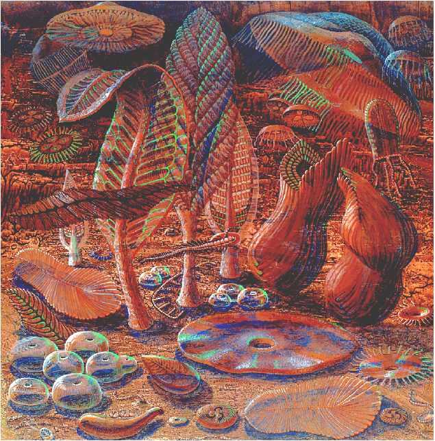 The Vendian Sea Panorama [IMAGE] | EurekAlert! Science News Releases