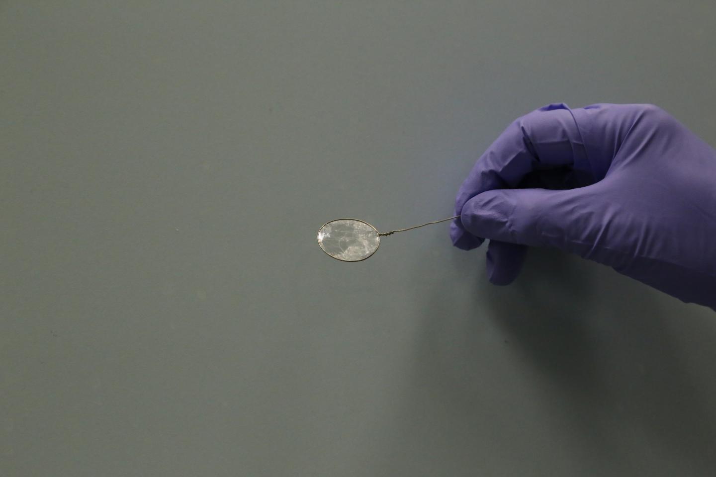 Nanofilms for Organic Separations (2 of 5) | EurekAlert!
