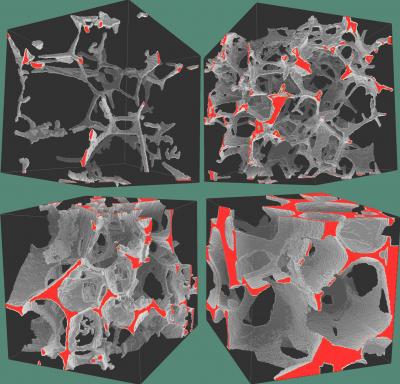 How Molten Rocks Become Oceanic Crust (2 of 2 | EurekAlert!