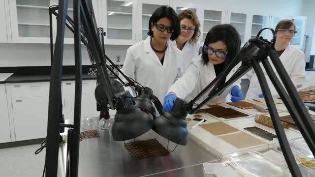 Engineering Smart Building Skins For Cleaner, | EurekAlert!
