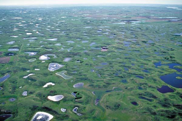 Prairie Pothole Region landsca [IMAGE] | EurekAlert! Science News Releases