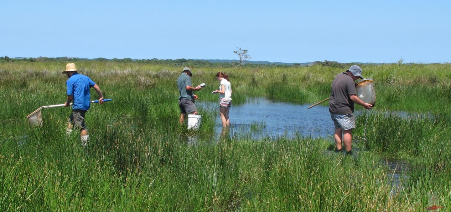 Temporary Ponds Surrounding La [IMAGE] | EurekAlert! Science News Releases