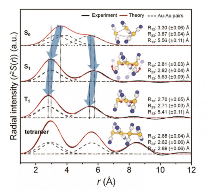 Bond Formations (2 of 3) [IMAGE] | EurekAlert! Science News Releases