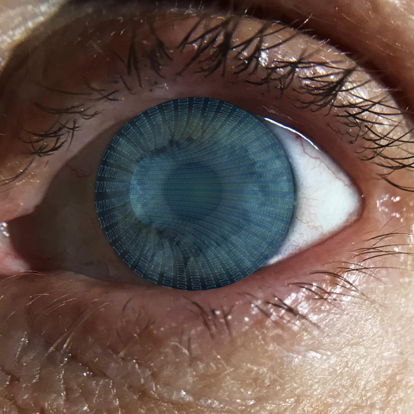 Pupil [IMAGE] | EurekAlert! Science News Releases