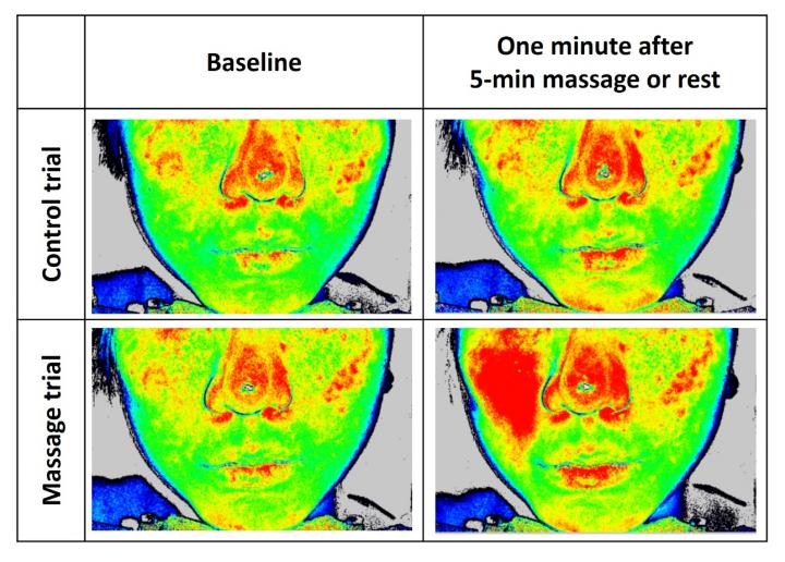 Ready for a close-up: The science behind face | EurekAlert!