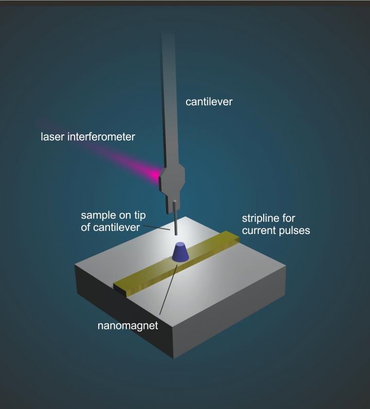 Basic Principles of Magnetic R [IMAGE] | EurekAlert! Science News Releases