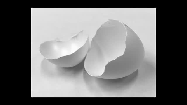 Cracking Avian Eggshell Structure (4 of 4) | EurekAlert!