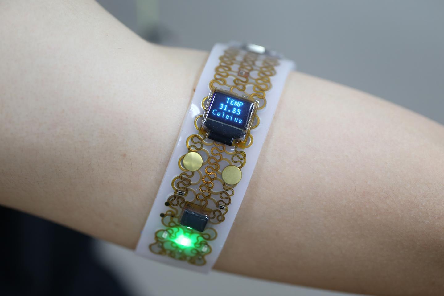 Building Benefits of Hard and Soft Electronic | EurekAlert!