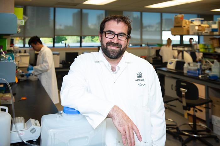 The gold standard: uOttawa researchers revolu | EurekAlert!