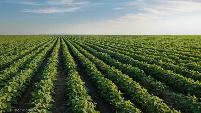 Scientists boost crop production by 47 percen | EurekAlert!