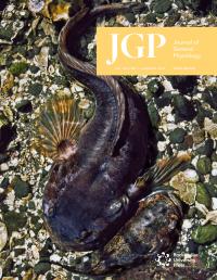 Study reveals how the midshipman fish sustain | EurekAlert!