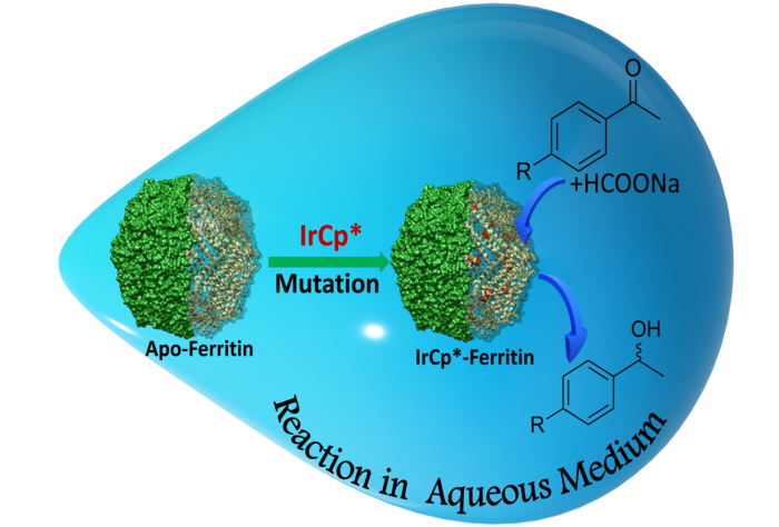 Figure 2. A hybrid bio-nanocag [IMAGE] | EurekAlert! Science News Releases