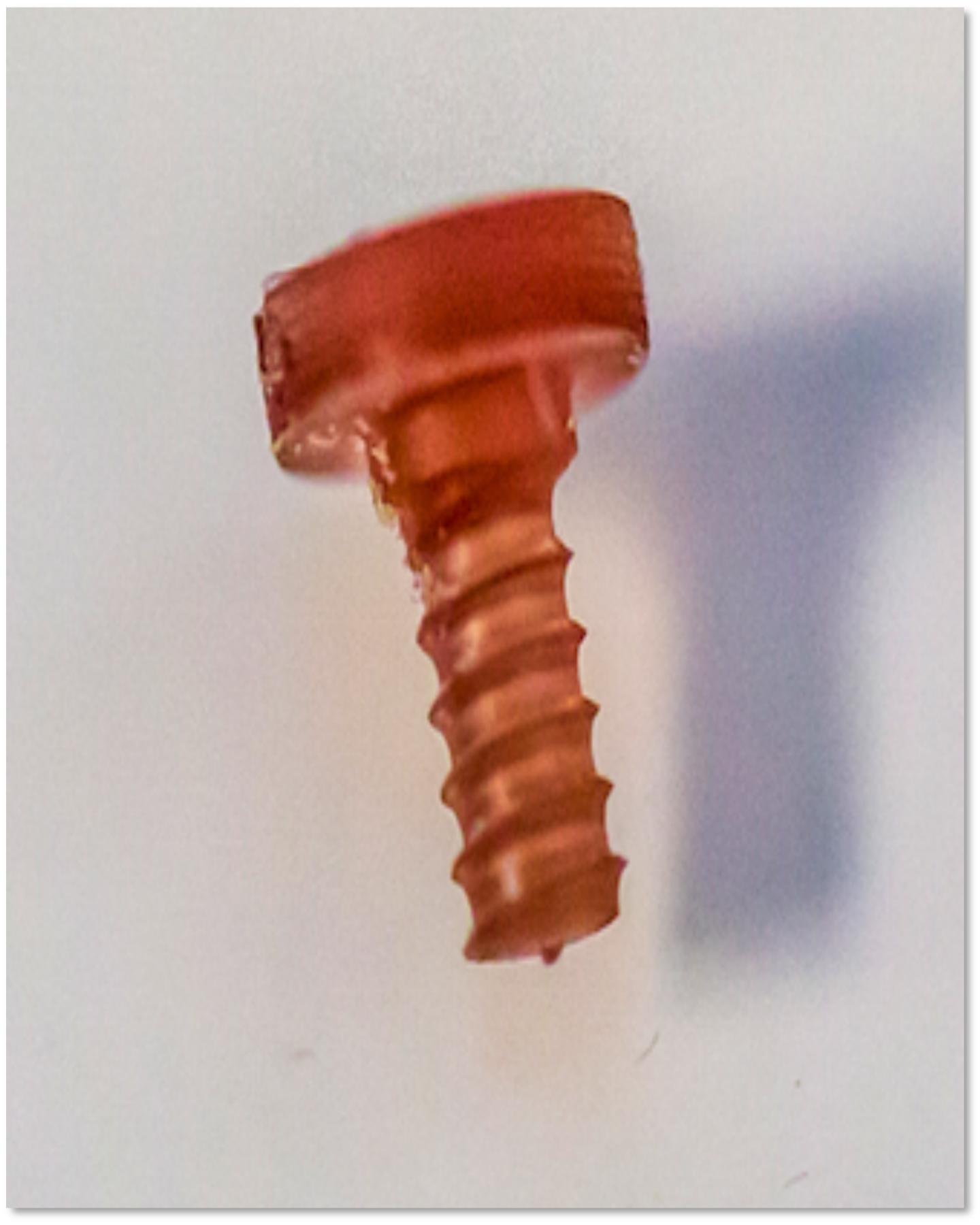 Silk Fibroin Screw [IMAGE] | EurekAlert! Science News Releases