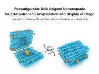 DNA folds into a smart nanocapsule for drug d | EurekAlert!