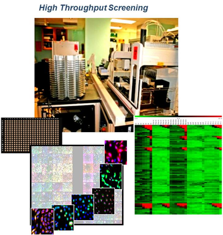 EPA Critical to Reforming Policy to Adopt Alt | EurekAlert!