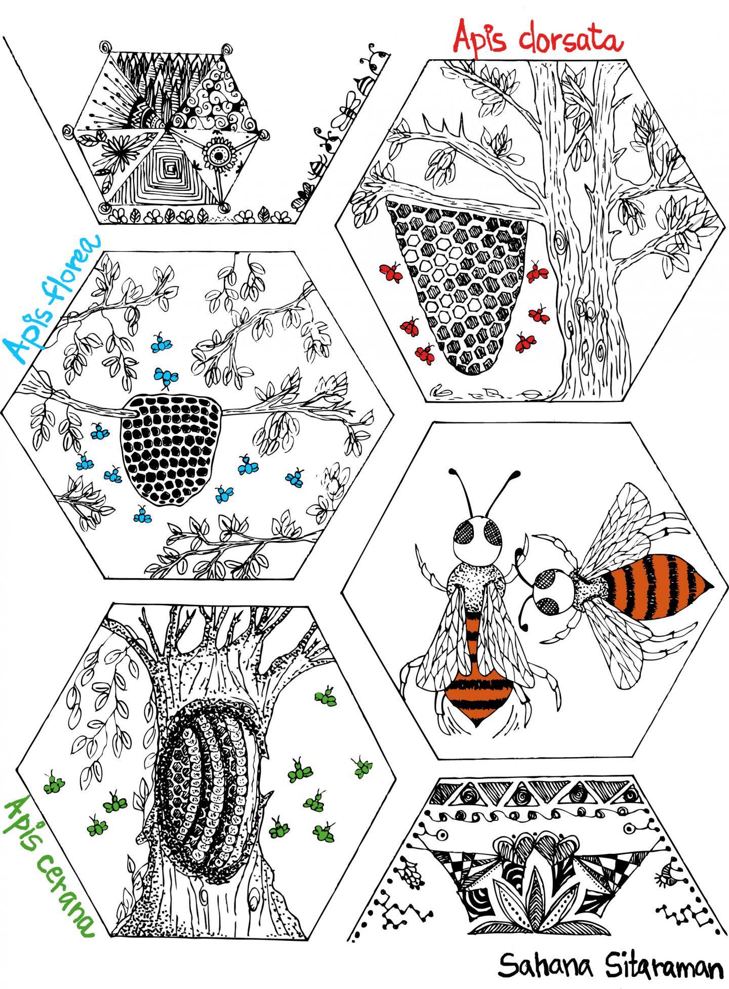 Similarities in Dance Follower [IMAGE] | EurekAlert! Science News Releases