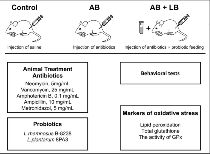 Graphical abstract [IMAGE] | EurekAlert! Science News Releases