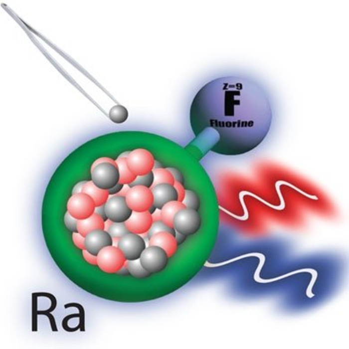 Creating and studying radioactive molecules a | EurekAlert!