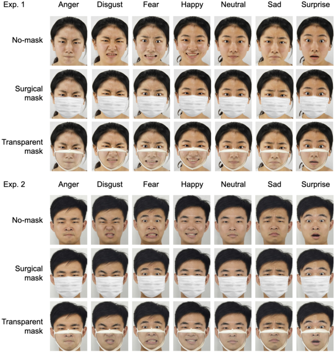 Some of the face images presen [IMAGE] | EurekAlert! Science News Releases