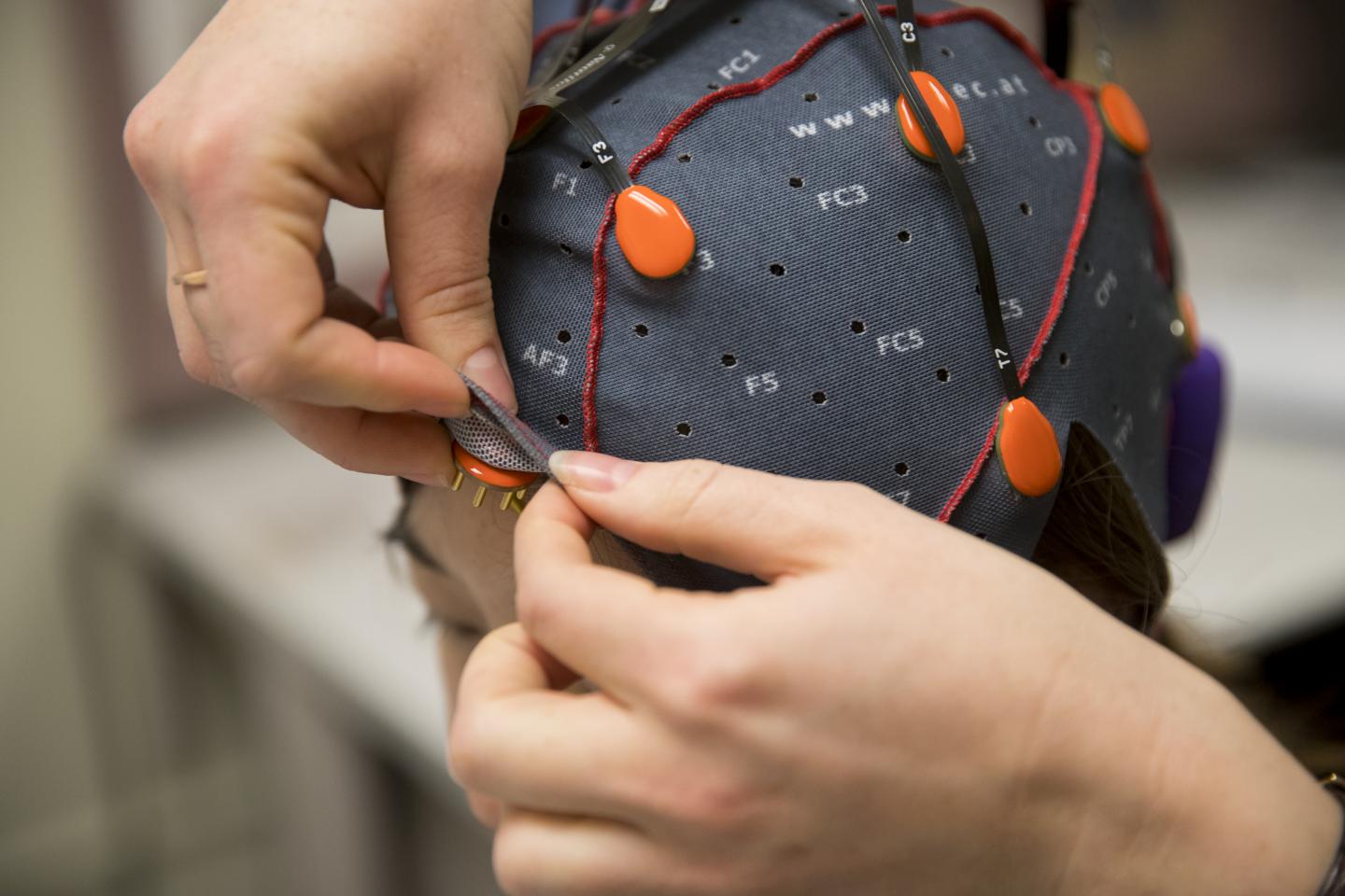 Brain Tools [IMAGE] | EurekAlert! Science News Releases