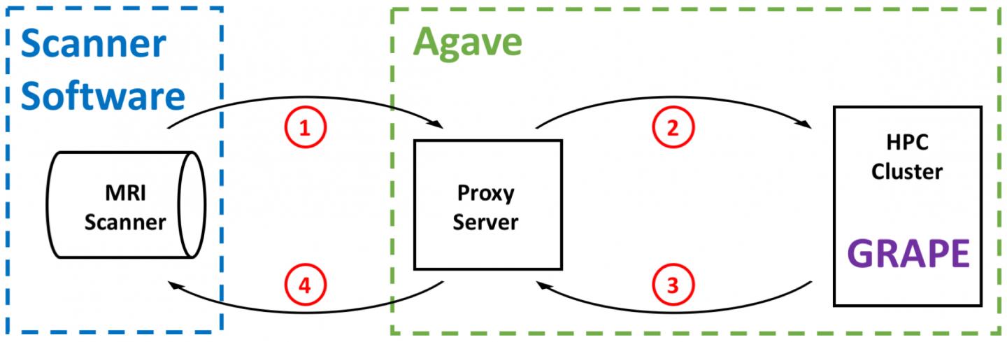 MRI Analysis Pipeline [IMAGE] | EurekAlert! Science News Releases