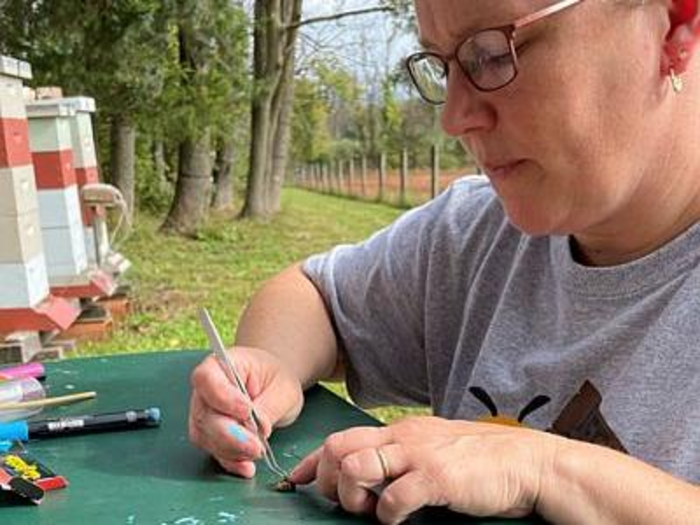 QR code on bee thorax [IMAGE] | EurekAlert! Science News Releases