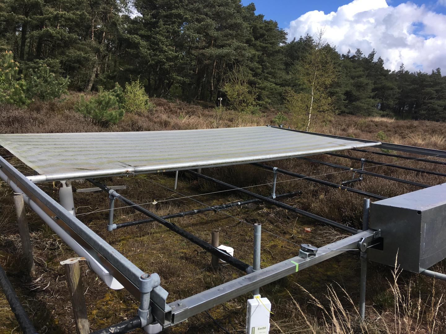 Long-Term Drought Experiment 2 [IMAGE] | EurekAlert! Science News Releases