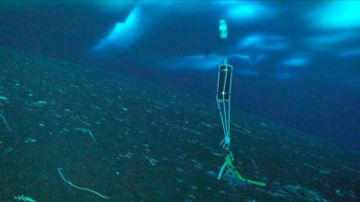 Broadest study of ocean acidification to date | EurekAlert!