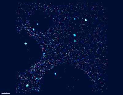 Mapping Neuronal Circuits with [IMAGE] | EurekAlert! Science News Releases