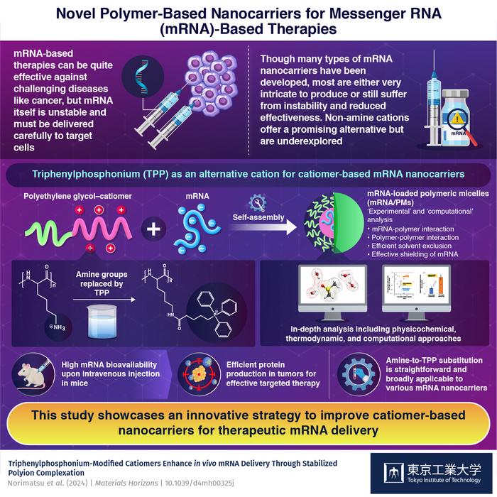 Improving the design of mRNA-loaded nanocarri | EurekAlert!