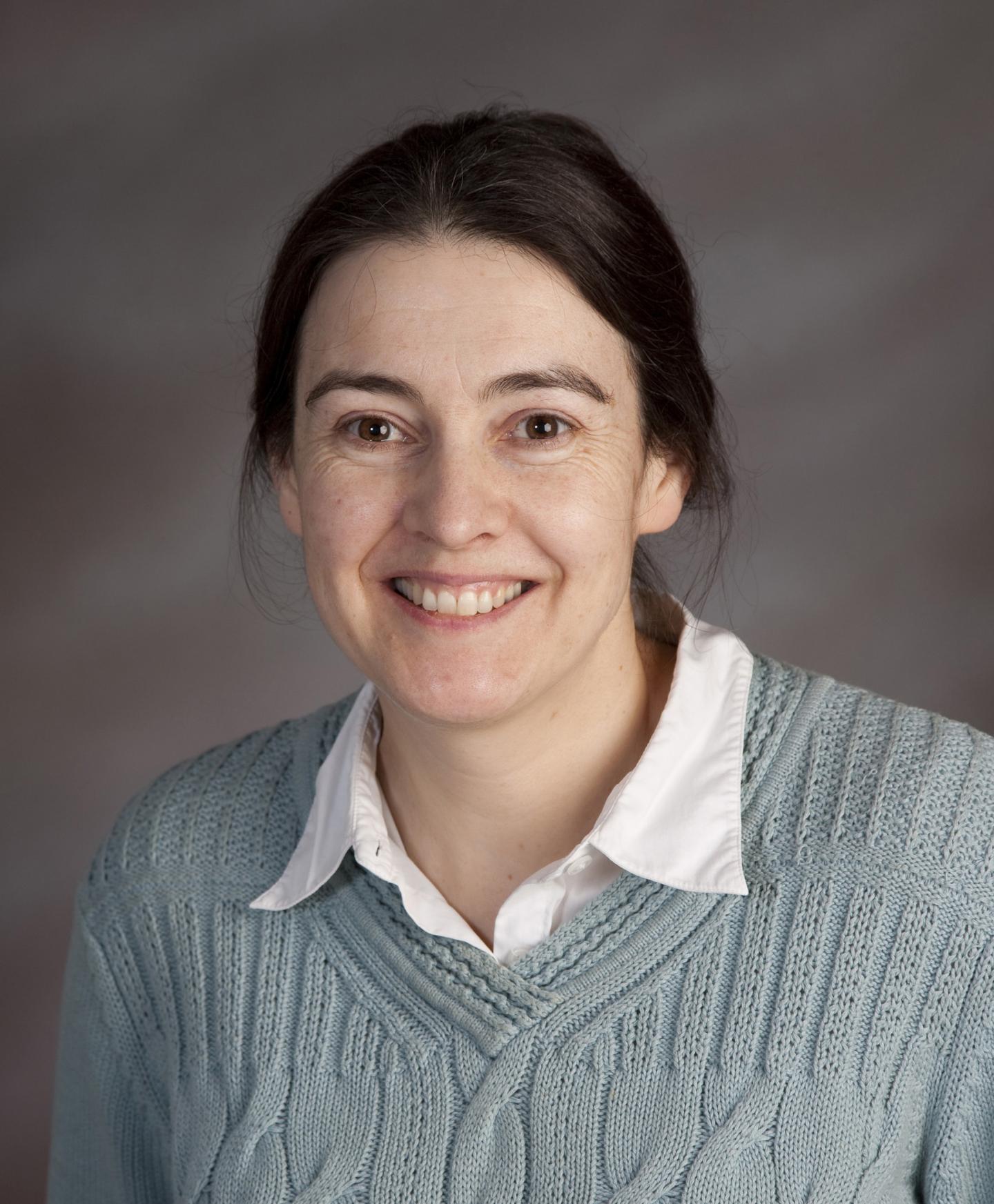 An Enhanced Lithium-air Batter [IMAGE] | EurekAlert! Science News Releases