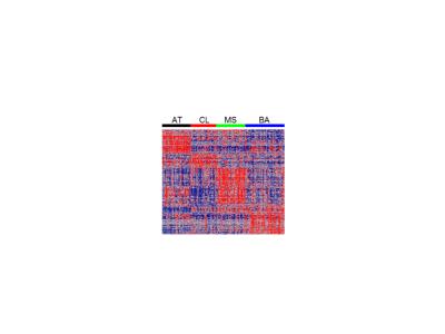 Heatmap [IMAGE] | EurekAlert! Science News Releases