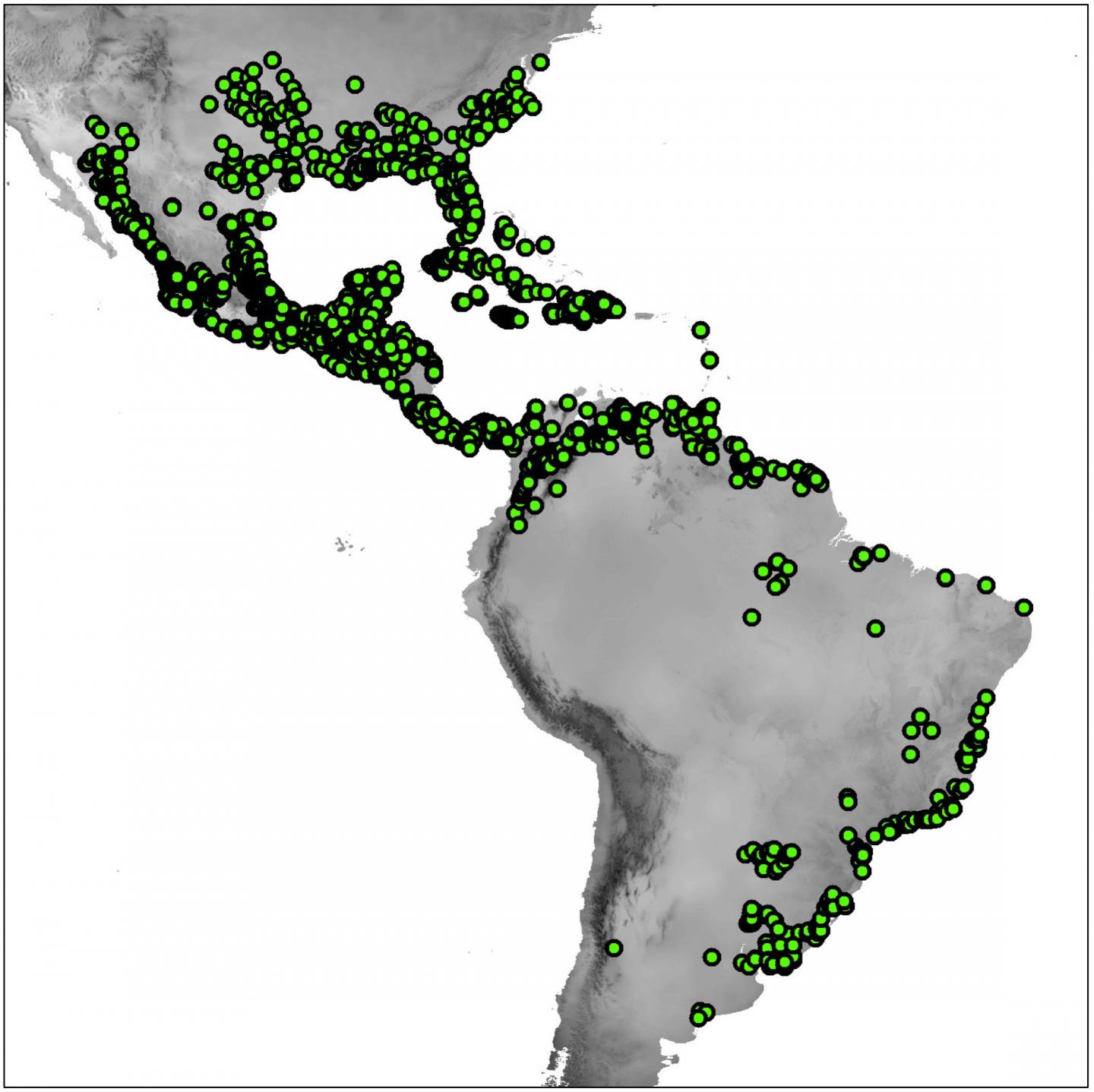 Distribution of Live-bearing F [IMAGE] | EurekAlert! Science News Releases