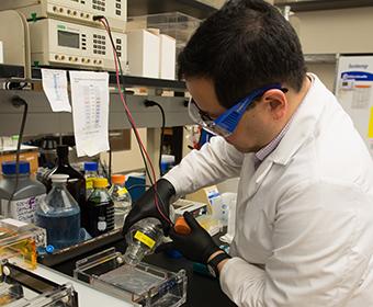 Lab Work [IMAGE] | EurekAlert! Science News Releases