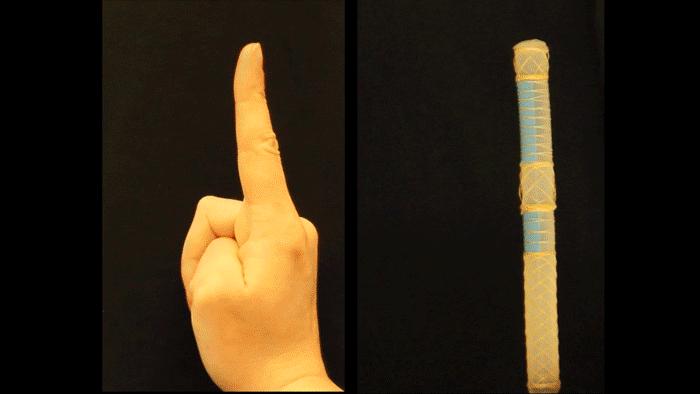 Bending Finger [IMAGE] | EurekAlert! Science News Releases