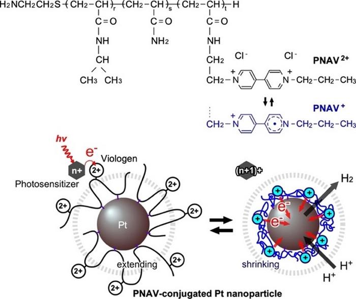 Towards next-generation nanocatalysts to revo | EurekAlert!