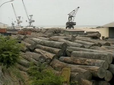 EU to conclude deal to stop illegal timber ex | EurekAlert!