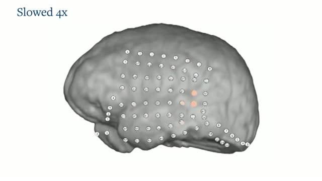 Pop-outs: How the brain extracts meaning from | EurekAlert!