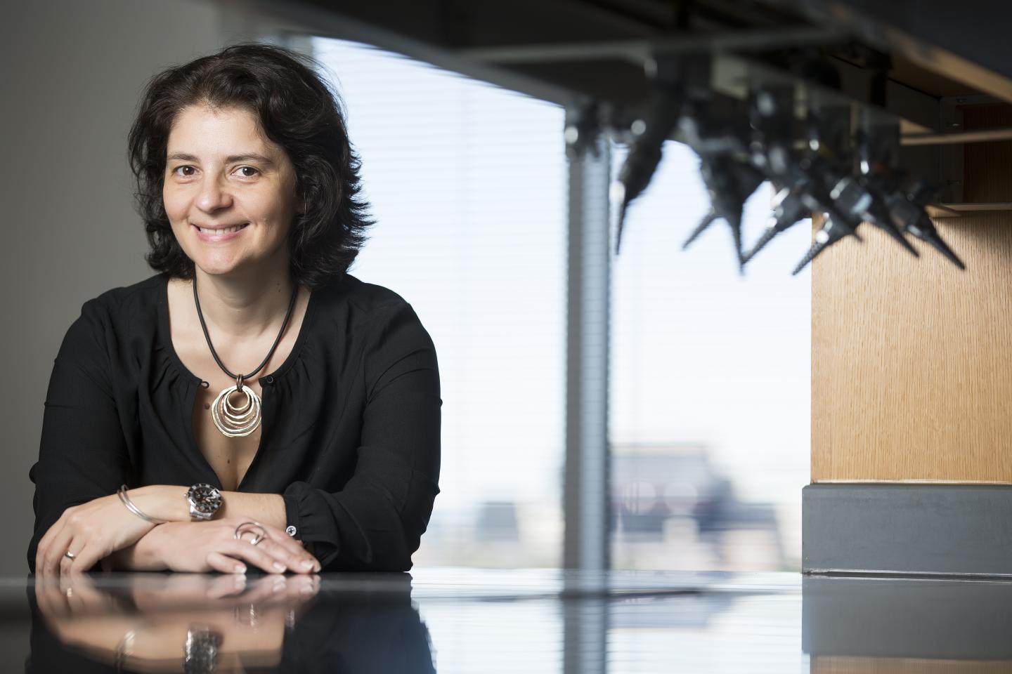 Suzana Herculano-Houzel, Assoc [IMAGE] | EurekAlert! Science News Releases