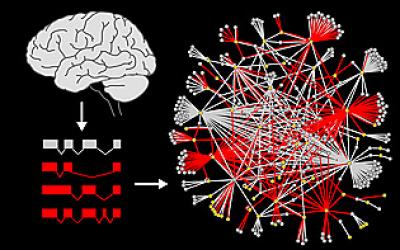 Protein Interaction Network [IMAGE] | EurekAlert! Science News Releases